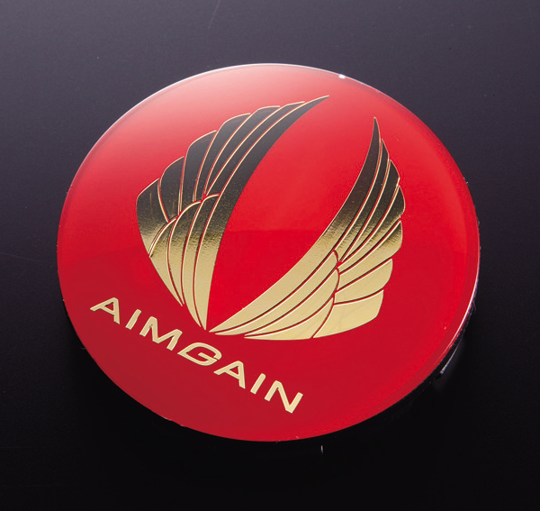 AIMGAIN